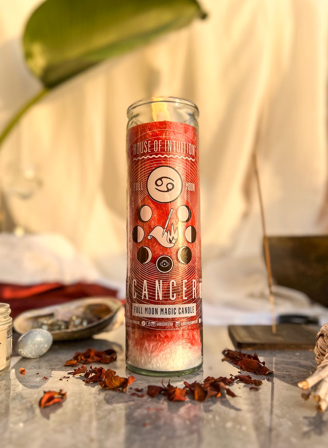 Weekly Astrology Forecast I January 13: Do this Cancer Full Moon Relea ...