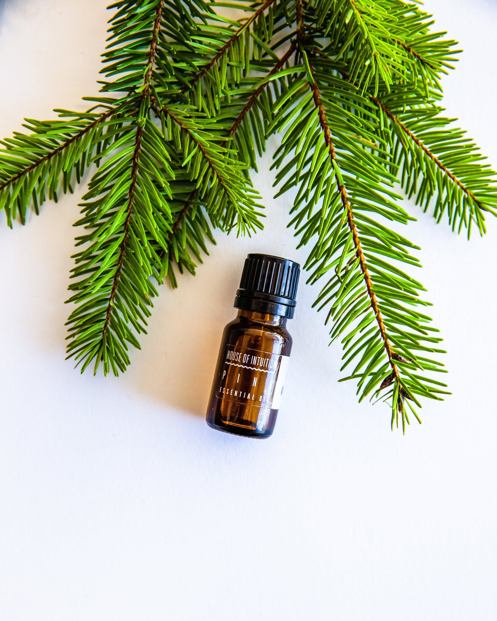 Pine Needle Essential Oil – House of Intuition Inc