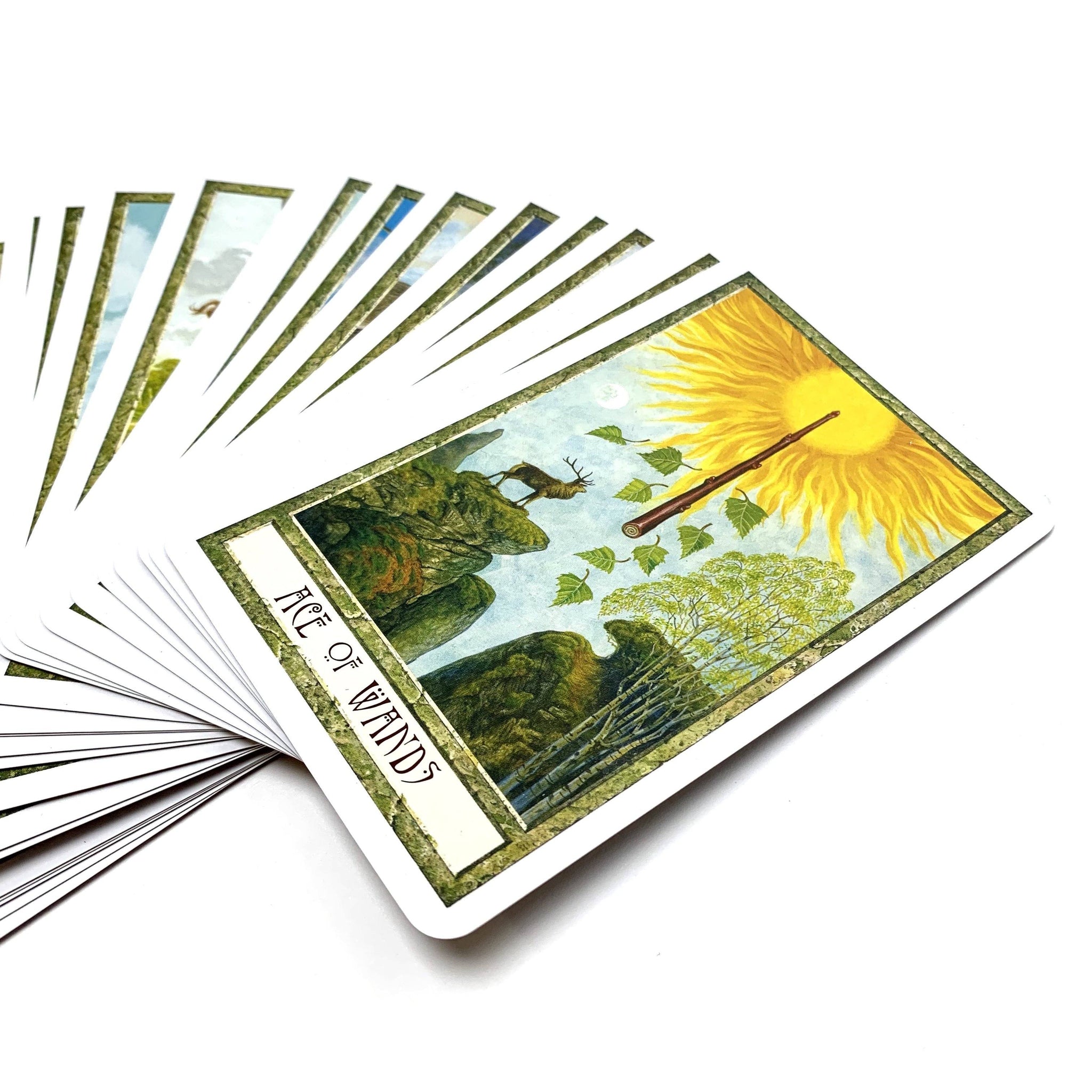 The Druid Craft Tarot Deck – House of Intuition Inc